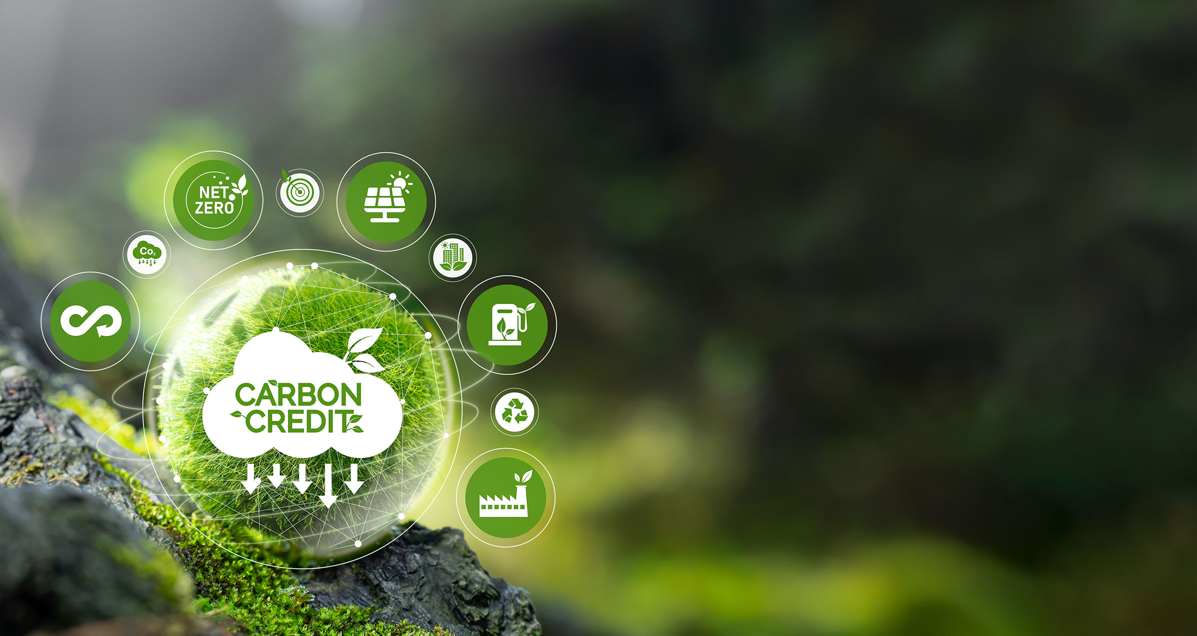 Green Carbon – Carbon Credit Monetization